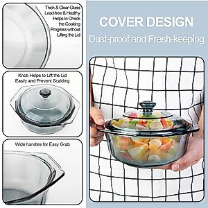 TIPTAP Casserole Dish,Baking Dish,Glass Casserole Dish with Lid,Corningware,Oven Safe, Microwave Safe, Fridge Safe,Round Casserole Dish With Lid, Mini Casserole Cookware with Handles,Bowls for Kitchen（33.08oz/1L）