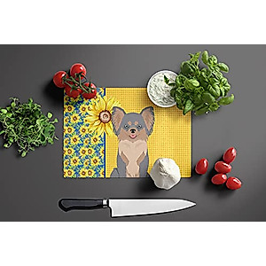 Caroline's Treasures WDK5358LCB Summer Sunflowers Longhaired Blue and Tan Chihuahua Glass Cutting Board Large Decorative Tempered Glass Kitchen Cutting and Serving Board Large Size Chopping Board