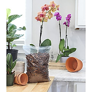 Orchid Potting Bark, Douglas Fir Bark 4qt Bag, Great for Re-Potting Orchids, Adding to Gardens, or Terrariums!