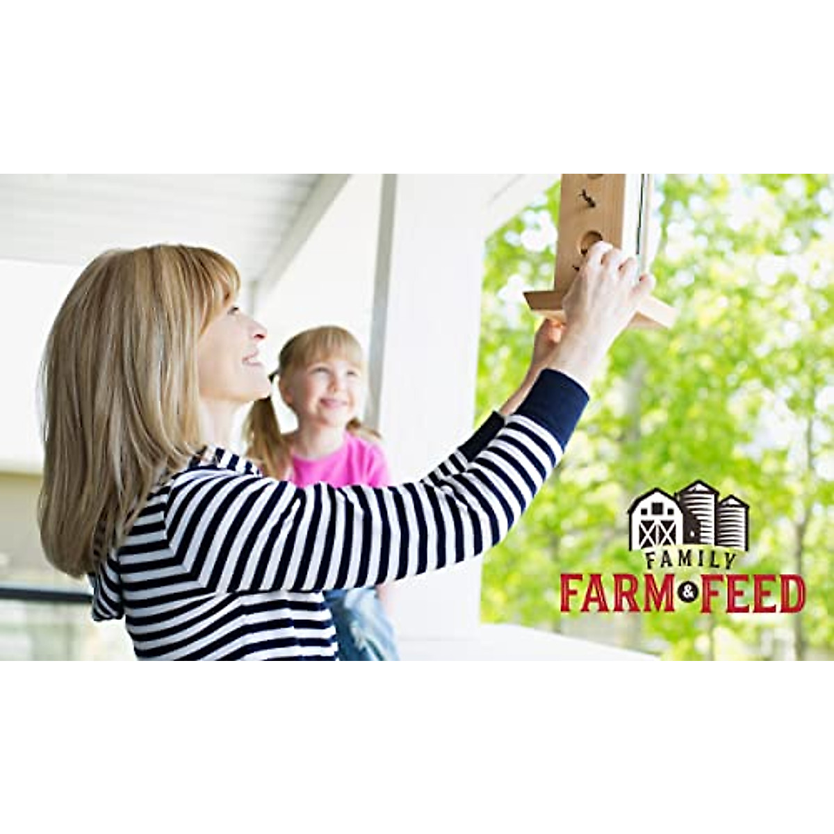 FAMILY FARM AND FEED | Four Seasons | Striped Sunflower Seed | Wild Bird Food | Backyard Songbird | 3 Pounds