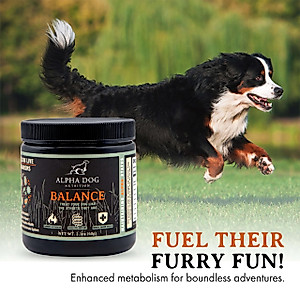 Balance Probiotic Blend for Dogs by Alpha Dog Nutrition