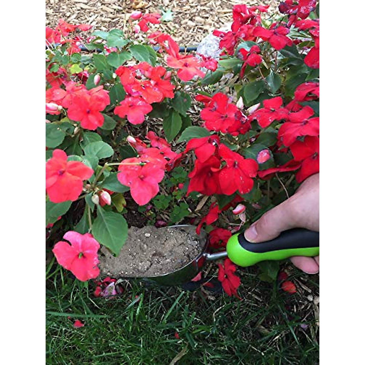 Garden Guru Super Strong Garden Scoop Trowel Shovel Transplanter - Stainless Steel - Rust Resistant - Ergonomic Grip - Perfect Hand Shovel for Gardening Transplanting and Digging