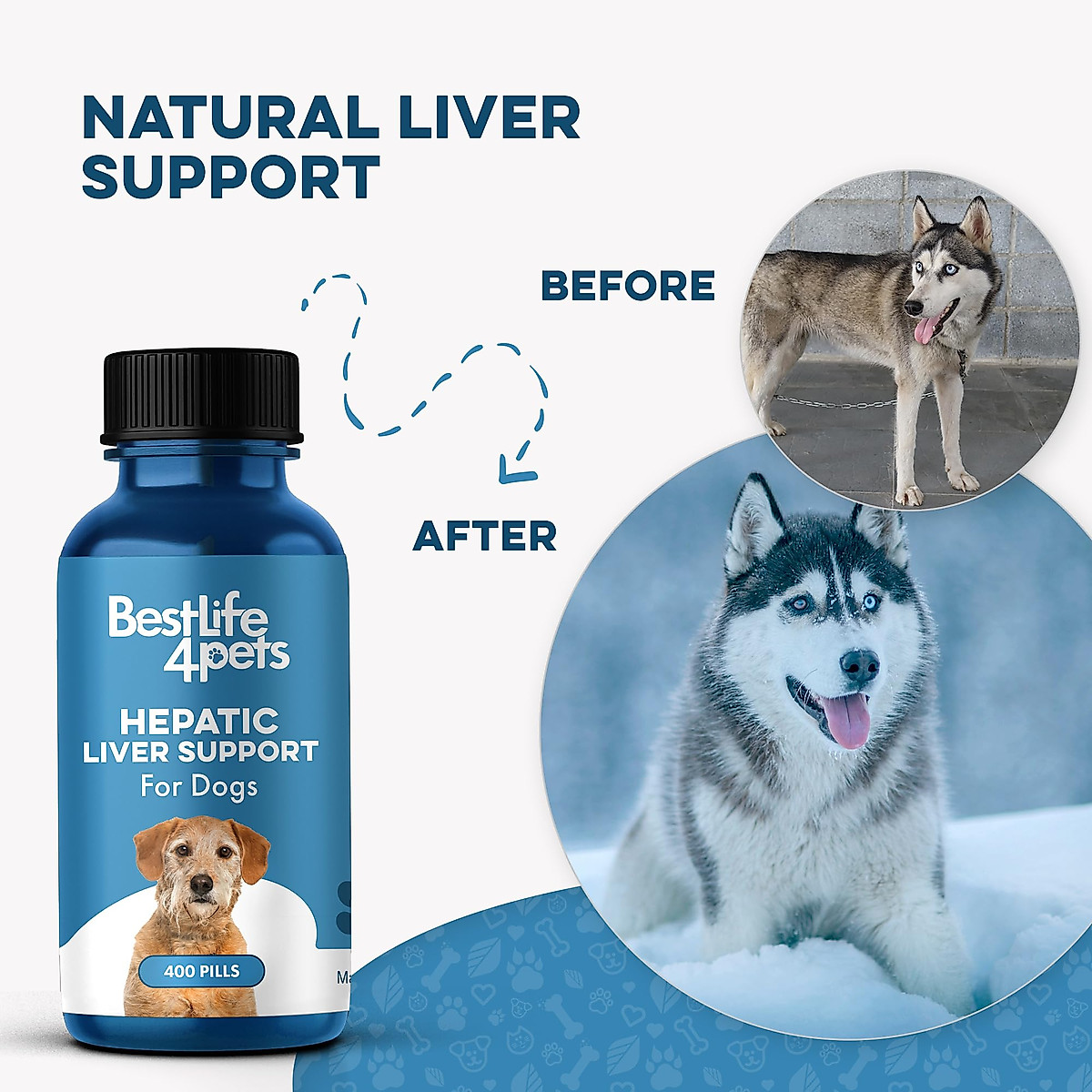 Hepatic Liver Support for Dogs - Dissolvable Homeopathic Liver and Digestive Canine Supplement for Liver Detox and Nutrient Absorption - 100% All Natural - Easy to Give, Free of Chemicals or Additives
