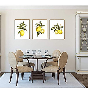 CRPBKU Cool Lemon Fruit Art Print -Yellow Orange Pear Lemon Botanical Canvas Wall Art -Green leaf Sour lemon Poster Perfect for Dining Room Kitchen Decoration,3 Set- (Unframed,8"X10")