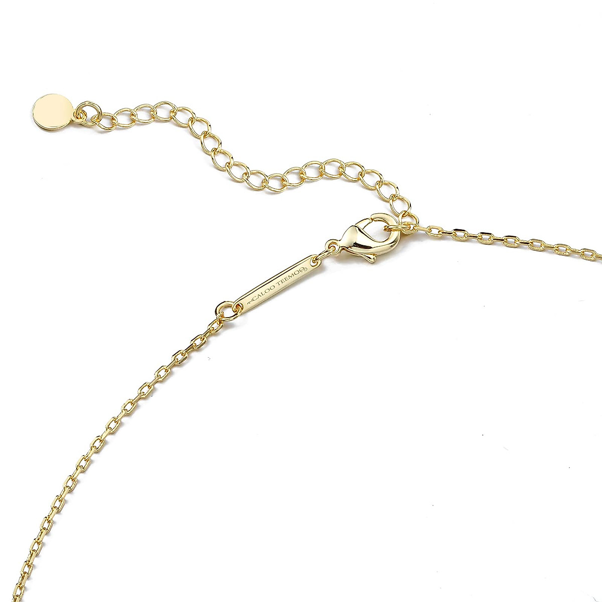 CALOO TEEMOO Necklaces for Women – Plated 18K Gold Chain with Pendant – Luxurious Long Necklaces for Women Fashion Jewelry – Lovely Gold Necklace for Women (Abalone)