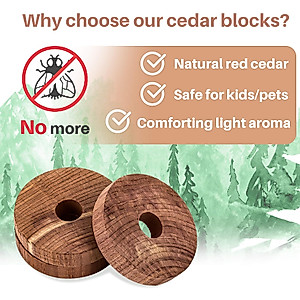 Sukh 10 Cedar Blocks for Clothes Storage - Cedar Chips Closet Drawer Fresheners for Dresser Cedar Wood Rings Smell Freshener for Bedding Comforter Storage Cedar Scented Drawer Liner Wardrobe Refresher