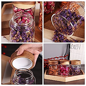 SAIOOL 3 Packs Glass Food Storage Jars with Screw Airtight Seal Acacia Wood Lids,Spice Jars with Lids, Organization for Jars Bottles Containers Travel Gear, Sugar, Salt,Coffee, cookies,spices