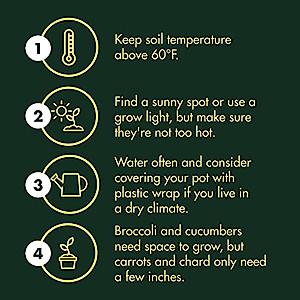 Indoor Vegetable Garden Starter Kit with Exotic Vegetable Seeds- 4 Non-GMO Heirloom Seeds for Planting, Soil, Pots, Plant Markers, Trimmers, Wood Planter Box, DIY Veggie Growing Kit, Gardening Gifts