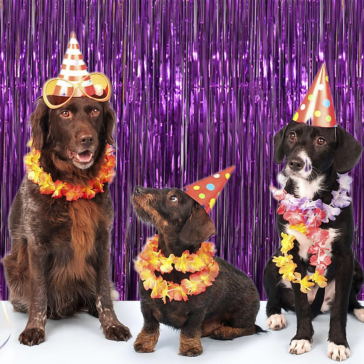 TOPPOT 2 Pack 3.3x8.2 ft Purple Foil Fringe Curtains Backdrop, Tinsel Curtain Backdrop, Streamer Backdrop for Birthday Party, Graduation and Most Common Holiday Party Decorations