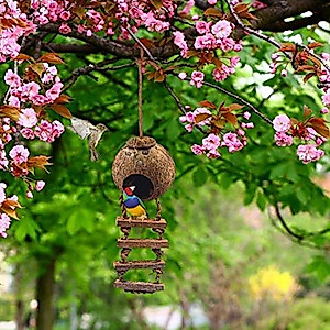 Bird Nest for Parakeets Naturals Coco Parrot Breeding Box Lovebird House Cage Play Hanging Toy with Ladder for Budgies Parakeet Cockatiels Conure Canary Finch Pigeon