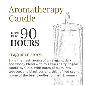 CLCo. by Candle-Lite Company Scented Candles, BlackBerry Cognac Fragrance, One 14 oz. Single Wooden Wick Aromatherapy Candle with 90 Hours of Burn Time, White Color