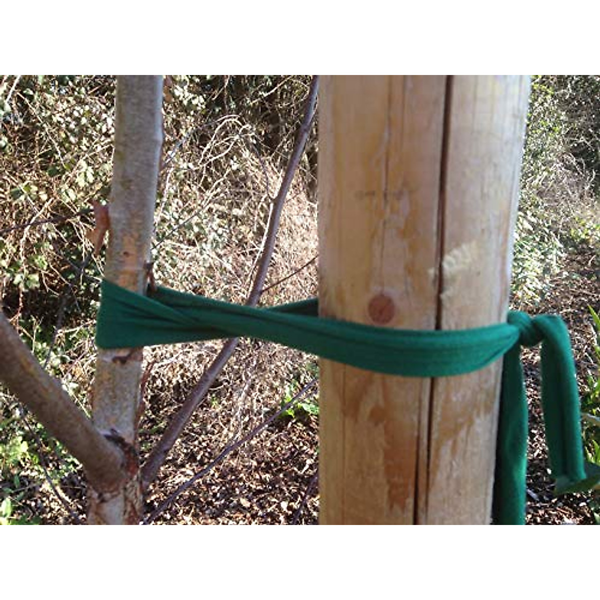 Biostretch Extra Wide Tree Ties and Large Plant String | Environmentally Smart Soft Green Plant Support and Garden Twine (Bio Extra Wide 26 ft / 8M)