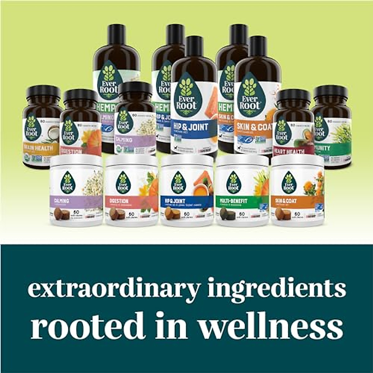 EverRoot by Purina Multi-Benefit Dog Supplements Soft Chews - 10.6 oz. Canister