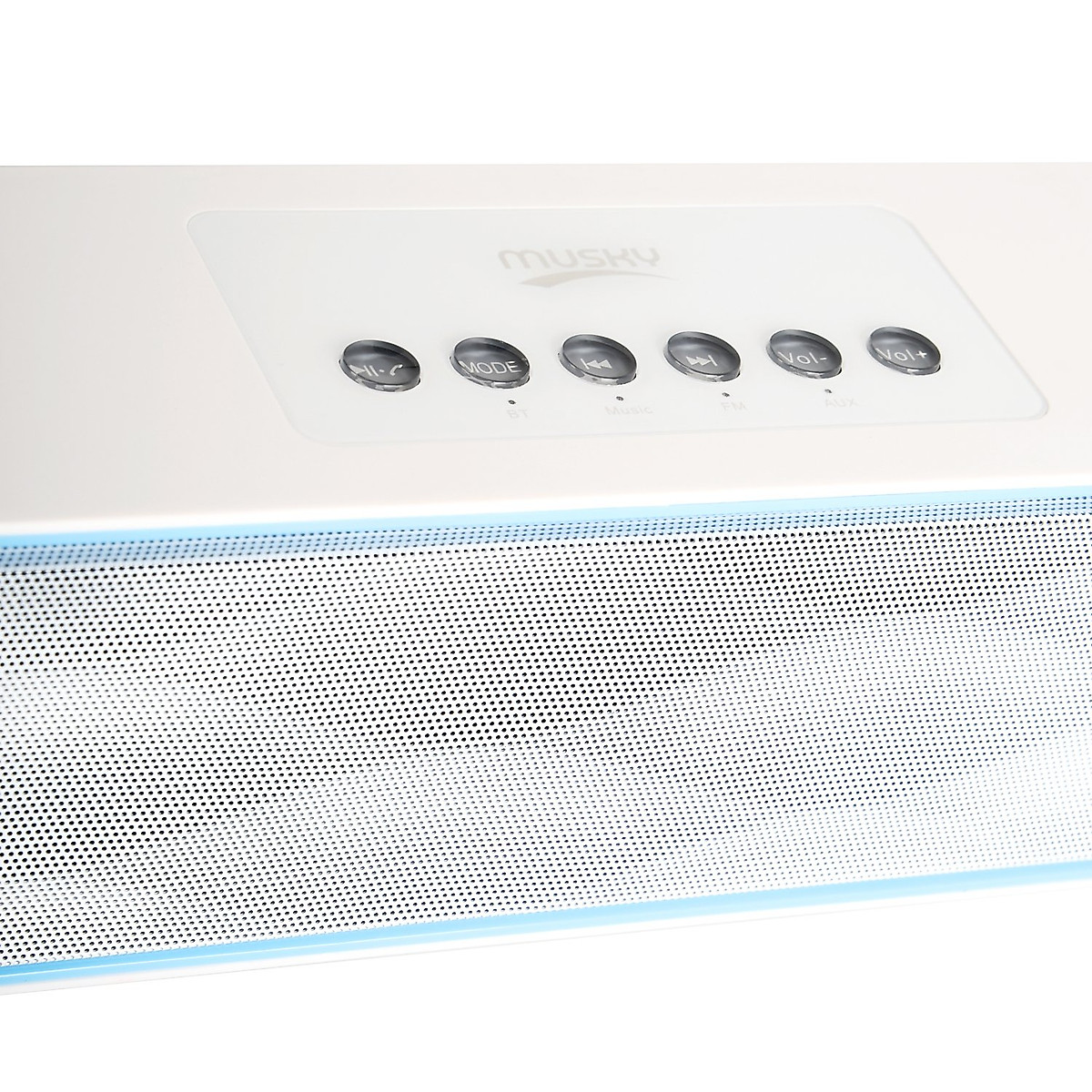 Portable Bluetooth Stereo Speaker, 10W Acoustic Drivers, Dual Subwoofer, FM Radio & Handsfree Speakerphone, Micro SD Card & USB & AUX Slots for Smart Phone, MP3, MP4, iPad, Tablet & More