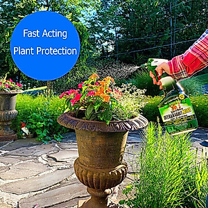 Nature’s MACE Deer & Rabbit Mace 1 Gallon Deer & Rabbit Repellent Spray, Deer Repellent Spray for Plants, Lawns, Flowers & Gardens, Plant Safe Deer Spray, All-Season Protection, Covers 5,600 Sq Ft