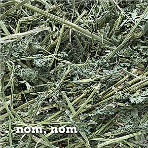 5 Lbs Fresh Alfalfa Hay by Bunny Honey - USDA Organic Natural Hay for Guinea Pigs, Rabbits, Hamsters, Hedgehogs, and More Small Select Animal Pets - 2nd Cut Fresh from Farm (5LB)