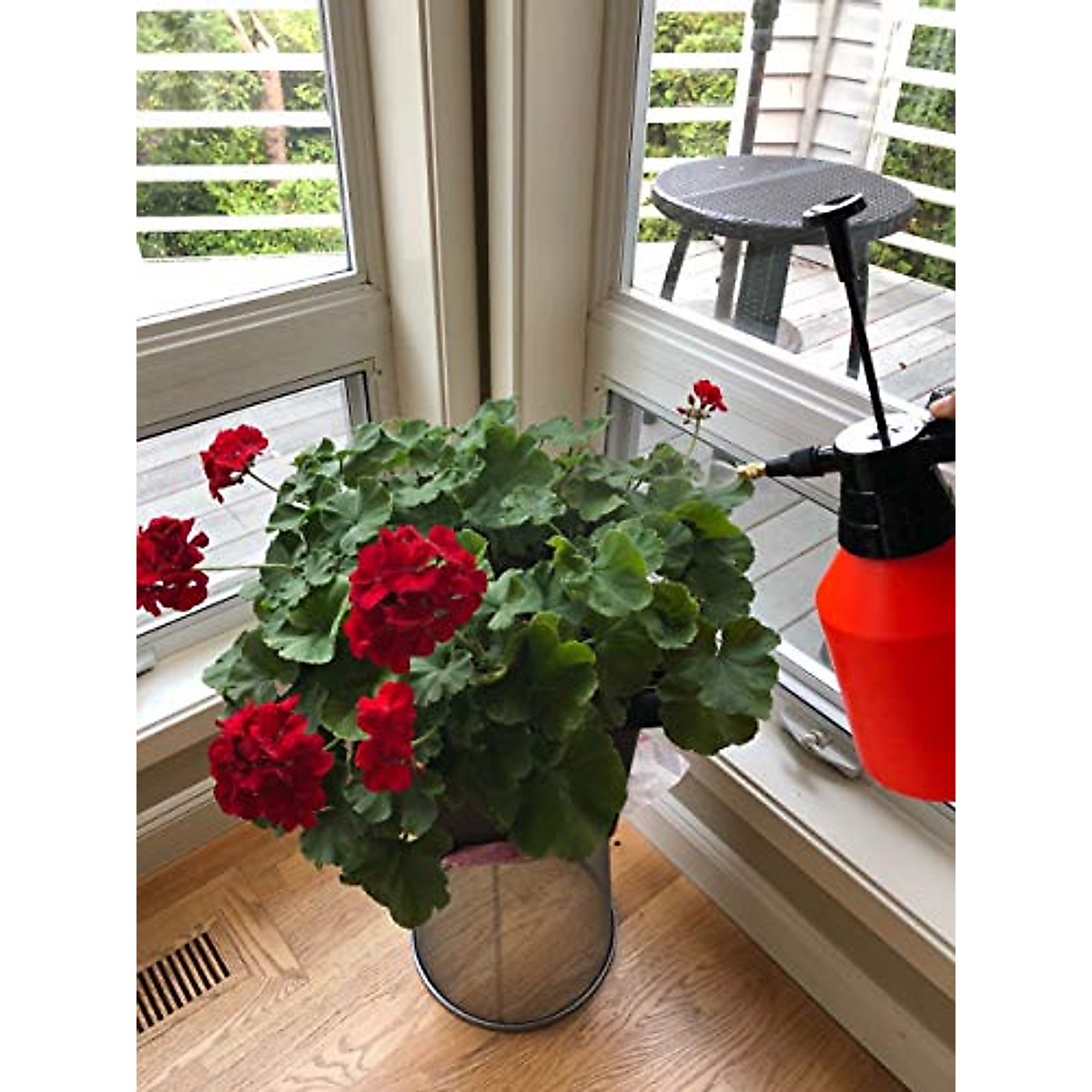 POLYTE One Hand Pressure Sprayer for Lawn, Garden, Pest Control, 50 oz / 1.5 Liter, 1 Pack