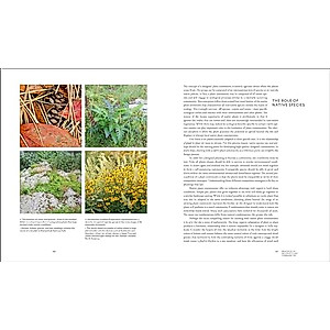 Planting in a Post-Wild World: Designing Plant Communities for Resilient Landscapes