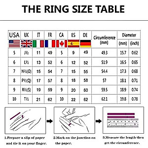 Qings Sterling Silver Ring Small Exquisite Ring As Surprise Gifts for All Ladies and Friends