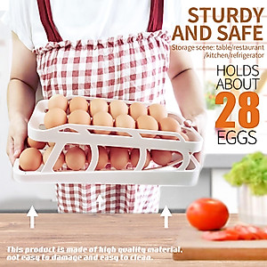 TUSGENK Egg Holder for Fridge, Automatic Rolling Egg Organizer Storage for Refrigerator, 2 Rows Space-Saving Eggs Dispenser, Large Capacity 28 Eggs Container & Tray for Kitchen (2 Layer,White)