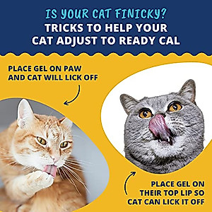 Under the Weather Pet | Ready Cal for Cats 100cc | High Calorie Nutritional Supplement for Weight Gain & Not Eating | 10 Vitamins, 7 Minerals, Omega Fatty Acids