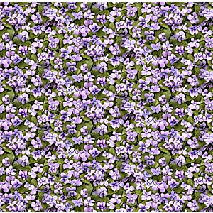 Elizabeth Studio Landscape Medley Tiny Violet Flowers Cotton Fabric by The Yard, Lavender