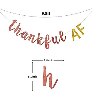 Rose Gold Glitter Thankful AF Banner-Great for Thanksgiving Day Party Decor-Baby Bridal Shower Birthday Party Decorations-Office Work Party Decorations