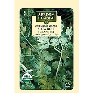 Seeds of Change 1728 Cilantro, Green