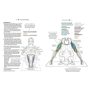 Yoga Anatomy Coloring Book: A Visual Guide to Form, Function, and Movement - An Educational Anatomy Coloring Book for Medical Students, Yoga ... & Adults (Volume 1) (Anatomy Coloring Books)