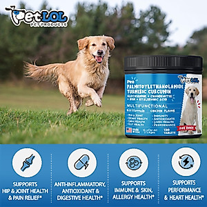 PET LOL Turmeric Curcumin for Dogs + Palmitoylethanolamide Micronized Pea 99%: 6-in-1 Hip & Joint Health with Glucosamine, Chondroitin, MSM & Hyaluronic Acid - Pet Antioxidant & Anti-Inflammatory