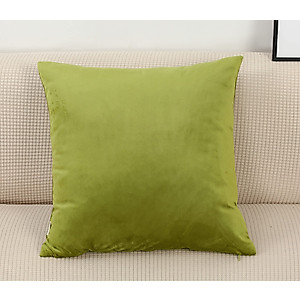 TangDepot Set of 2 Velvet Throw Pillow Covers, Super Soft, Euro Pillowcases - (24x24 Inch 2 Pieces, G01 Olive Green)
