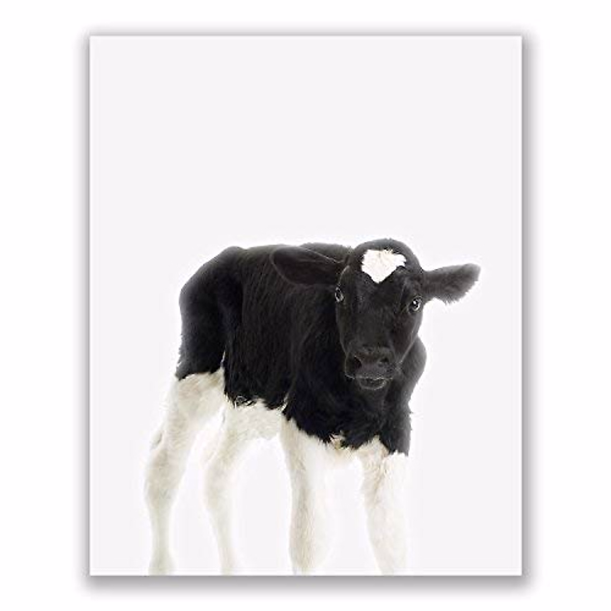 Baby Farm Animals Poster Prints - Set of 6 (8x10) Adorable Furry Barn Portraits Wall Art Nursery Decor - Calf (Cow) - Chick (Chicken) - Donkey - Foal (Horse) - Duckling (Duck) - Piglet (Pig)