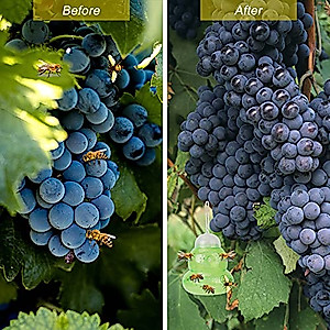 Green Plastic Wasp Trap,Outdoor Hanging for Garden, Yard,2 Pack(with S Hooks &Screw Hooks)