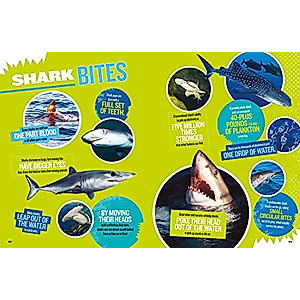 The Ultimate Book of Sharks (National Geographic Kids)