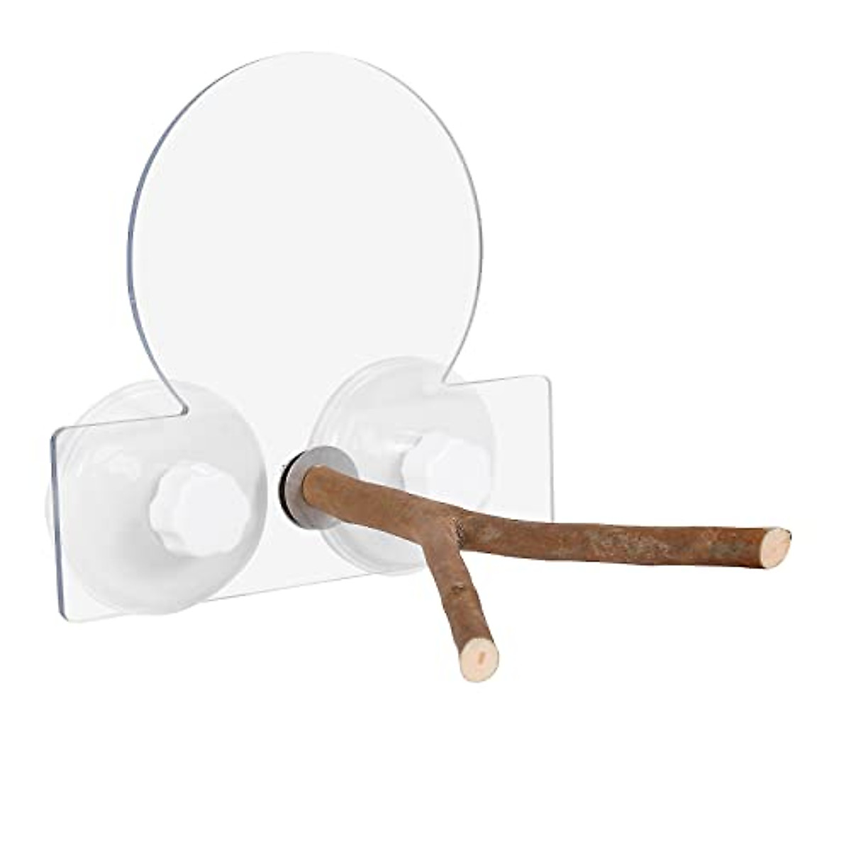 GJRGEG1Y Removable Window/Shower Perch Platform with Suction Cups for Bird Includes Stainless Steel Washer Robust and Stable Without Falling (Small)