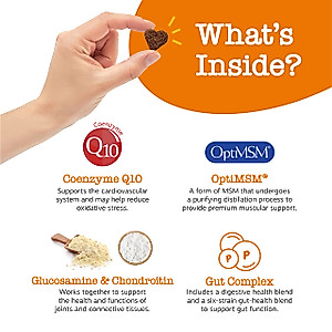 Multifunctional Supplements for Dogs - Glucosamine Chondroitin for Joint Support + Dental Bones for Small Dogs - Fights Tartar & Plaque