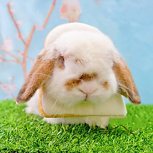 Rabbit Collar Bread Slice Collar Toast Bread-Shaped Rabbit Headdress, Pet Halloween Gift Cosplay Makeup Cap, Bunny Cartoon Costume, Dressing Up Props, Small Animal Headgear (8''- 9'' head girth)