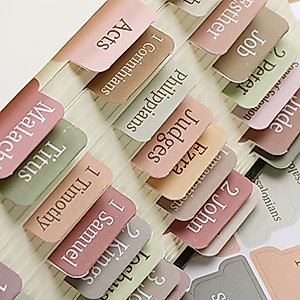 Mr. Pen- Bible Case and Bible Tabs, Boho Theme