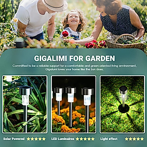 GIGALUMI Solar Lights Outdoor Waterproof Lights, Solar Lights for Outside, 12Pack Stainless Steel LED Solar Garden Lights Outdoor Solar Lights for Patio, Lawn, Yard and Landscape-(Cold White)