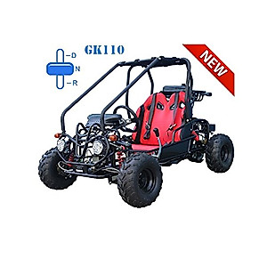 TAO Go kart 110cc with reverse