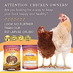 PICKY NEB 100% Non-GMO Dried BSF Larvae Grubs (5 lbs) Bulk - Chicken Treats & Molting Supplement - High-Protein Immune System Booster Snack for Chickens - 85x More Calcium Than Mealworms
