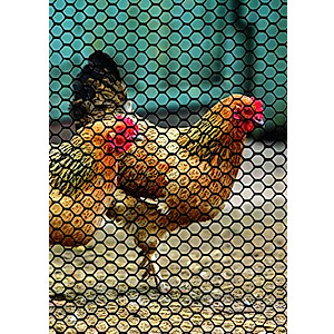 Tenax 72120546 Hex Poultry Fence, 3' x 25' Black