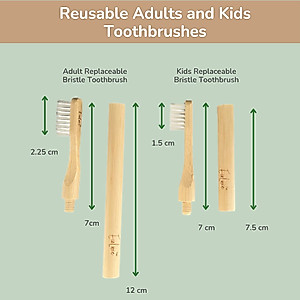 EcoLuxe Manual Bamboo Toothbrush with Replaceable Castor Bean Oil Medium Firm Bristles for Adults, 2 Packs
