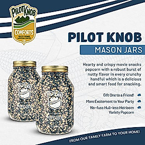 Pilot Knob Comforts Blue Bounty Gourmet Popcorn Kernels for Popcorn Machines, Microwave and Air Popper Popcorn Maker – Non-GMO, Fresh Heirloom Hull-Less Popcorn Seeds, Gift Set – 3 Jars (32 Oz Each)