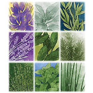 Pencil First Games Herbaceous Card Game – A Flavorful Set Collection Game of Garden Herbs and Containers by Pencil First Games for 1-4 Players