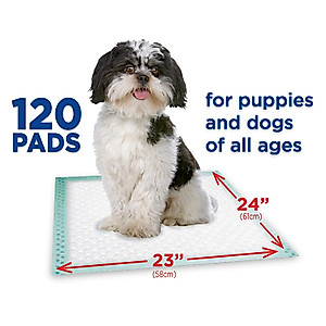 Member's Mark Pet Training Pads, 23" x 24" (120 ct.)