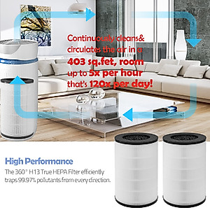 Ulrempart Replacement HEPA Filter Compatible with Homedics Air Purifier Models# AP-T40FL, AP-T45, AP-T45WT, AP-T40, AP-T40WT, AP-T40WTAR, 1461901 (Costco Model), 2-Pack