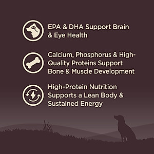 Wellness CORE Wholesome Grains Puppy Recipe, 12 Pound Bag