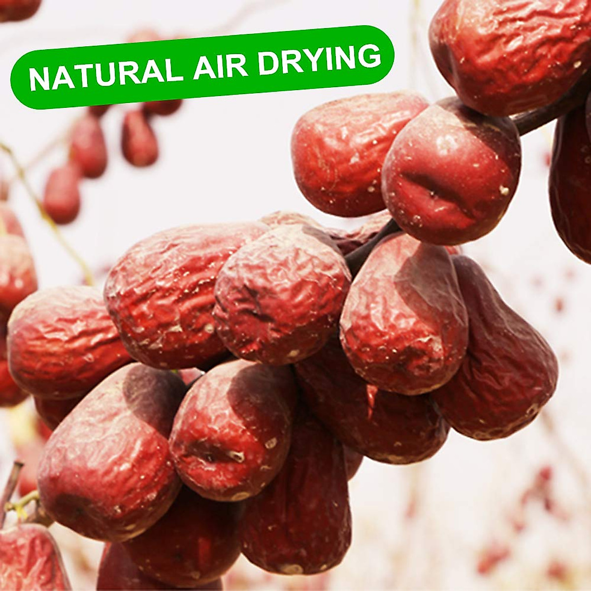 16 Oz Organic Dates Dried, Medjool in resealable bags, Red Dates/Sweet Jujube/Sugar Hong Zao, Vegan Grocery & Gourmet Food Snack Foods Dried Fruit (1 Lbs)