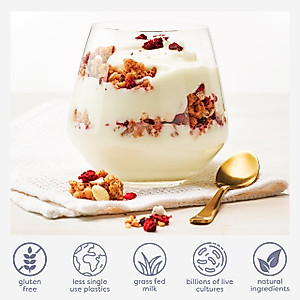 EasiYo Greek Style Plain 2% Yogurt Base (6-pack, 42 Servings) with Live Cultures | Easy & Fresh Homemade Yogurt | Use with EasiYo Maker | New Zealand Milk from Grass Fed Cows